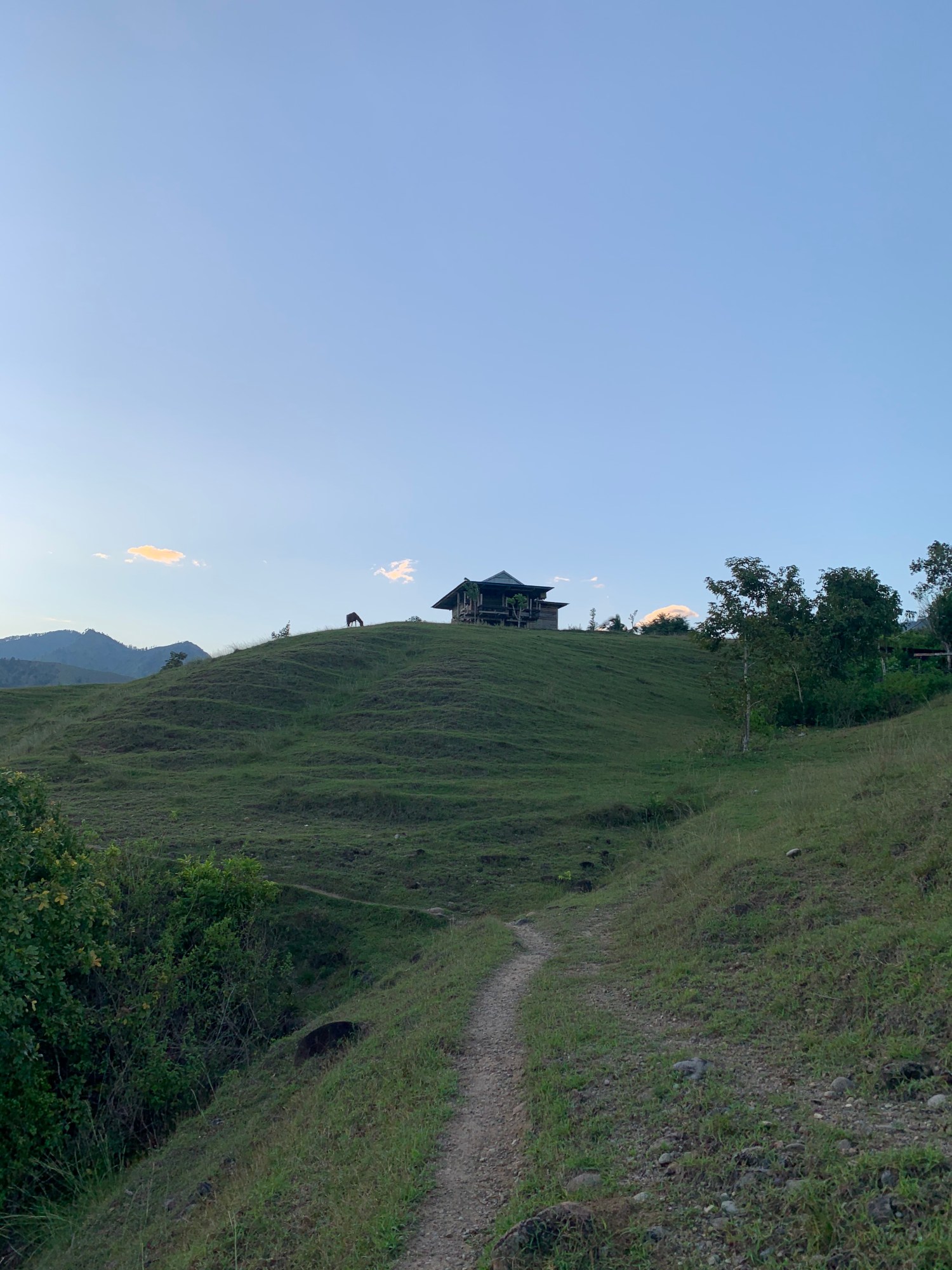 Ollon Valley, The Hidden Paradise of Toraja – Jastitahn | Travel & Life ...