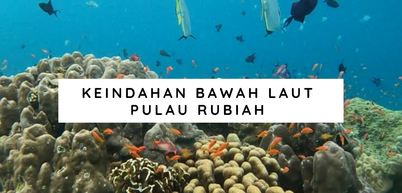 Pulau Rubiah, Pulau Eksotis dengan Keindahan Bawah Lautnya – Jastitahn ...