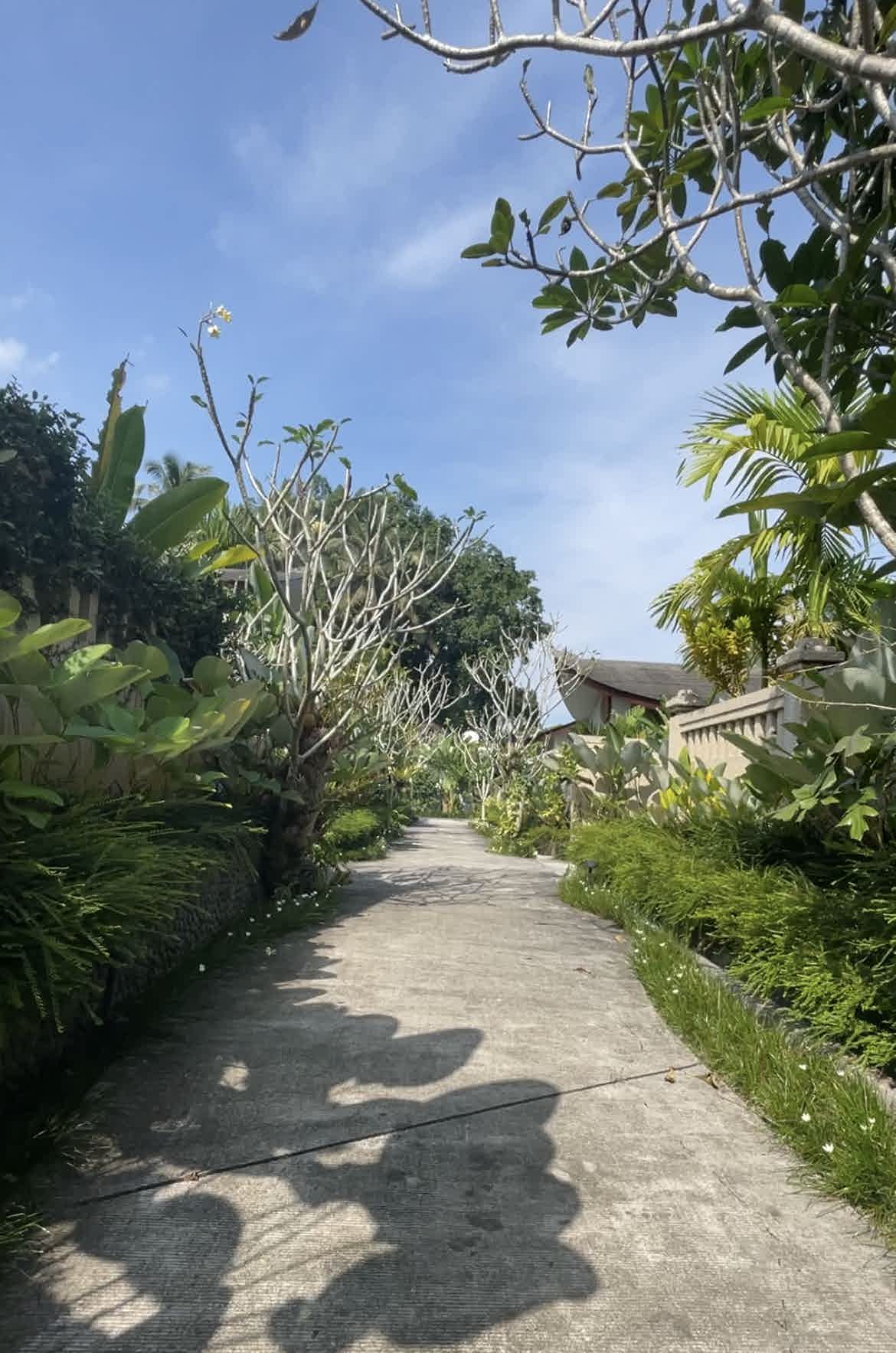 Daun Lebar Villas, Amazing Villa To Stay in Ubud, Bali – Jastitahn ...