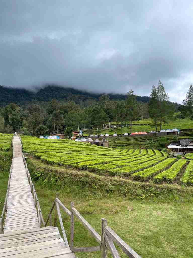 Nuansa Riung Gunung Pangalengan, Asri dan Segar Banget! – Jastitahn ...