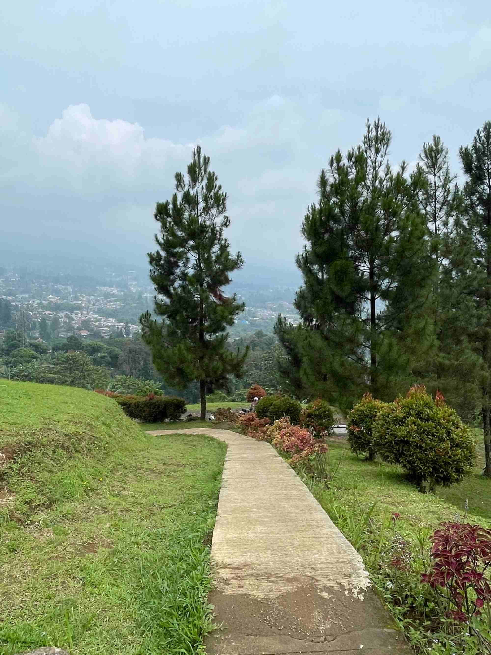 Humaira Coffee: Ngopi with a view di Puncak Bogor – Jastitahn | Travel ...