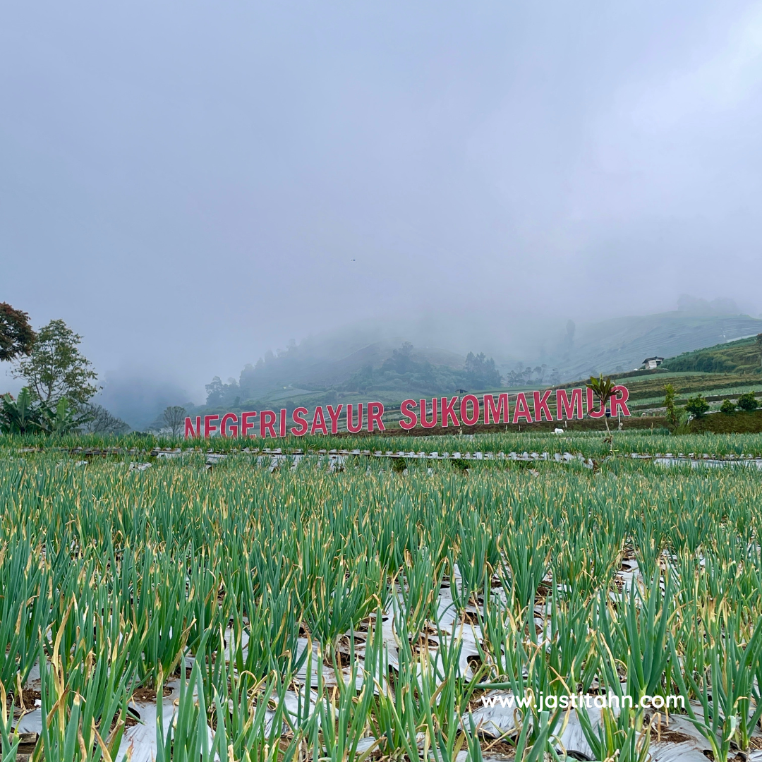 Pesona Indahnya Negeri Sayur Sukomakmur – Jastitahn | Travel & Life Journal